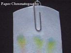 Paper Chromatography Experiment for kids