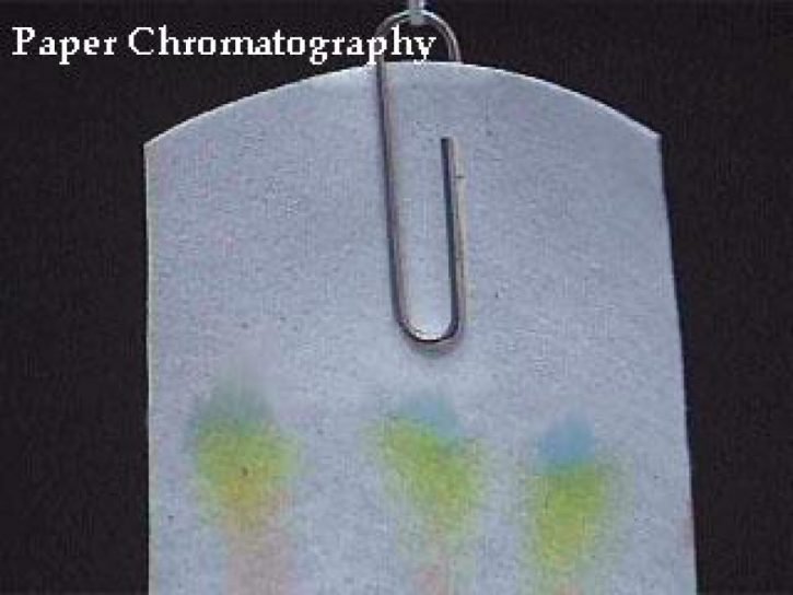 Paper Chromatography Experiment for kids