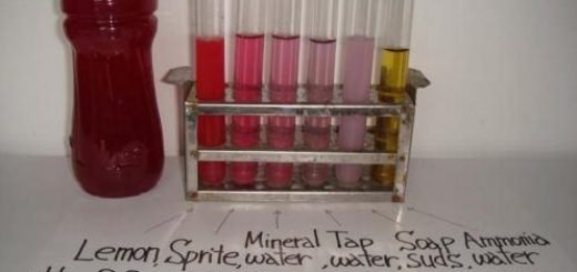 Paper Chromatography Experiment for kids - DoScience