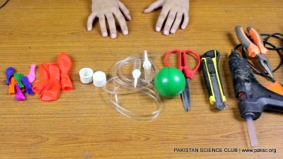 working model of heart and circulatory system of human