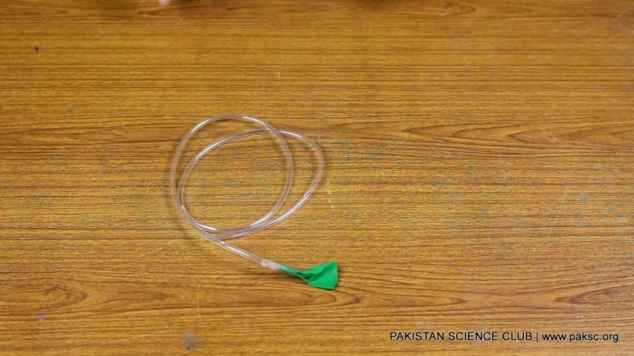 working model of heart and circulatory system of human